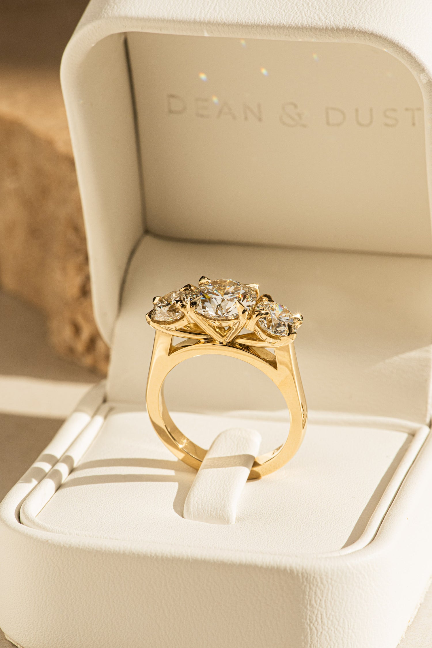 Engagement Collection – Dean & Dust